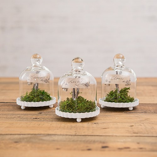 Mini Glass Bell Jar - Cupcake Cloche - Cupcake Stand