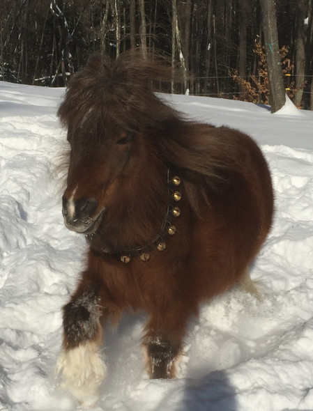 Heirloom Collection - New England Bells