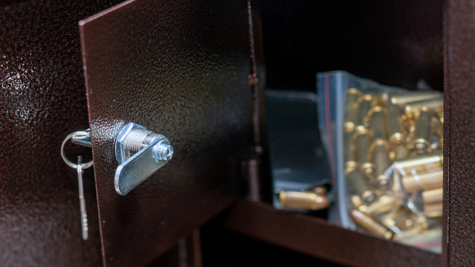 Common Gun Safe Features and Their Benefits - GunVault