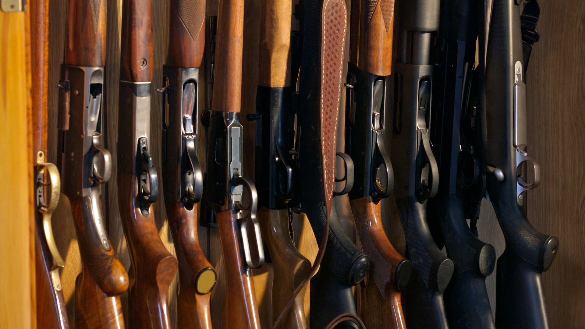 The Importance of Gun Safe Size and Capacity - GunVault