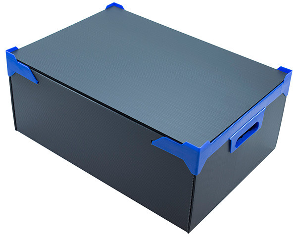 Martini Glass Storage Box | London | Glasgow | Manchester | NV Boxes