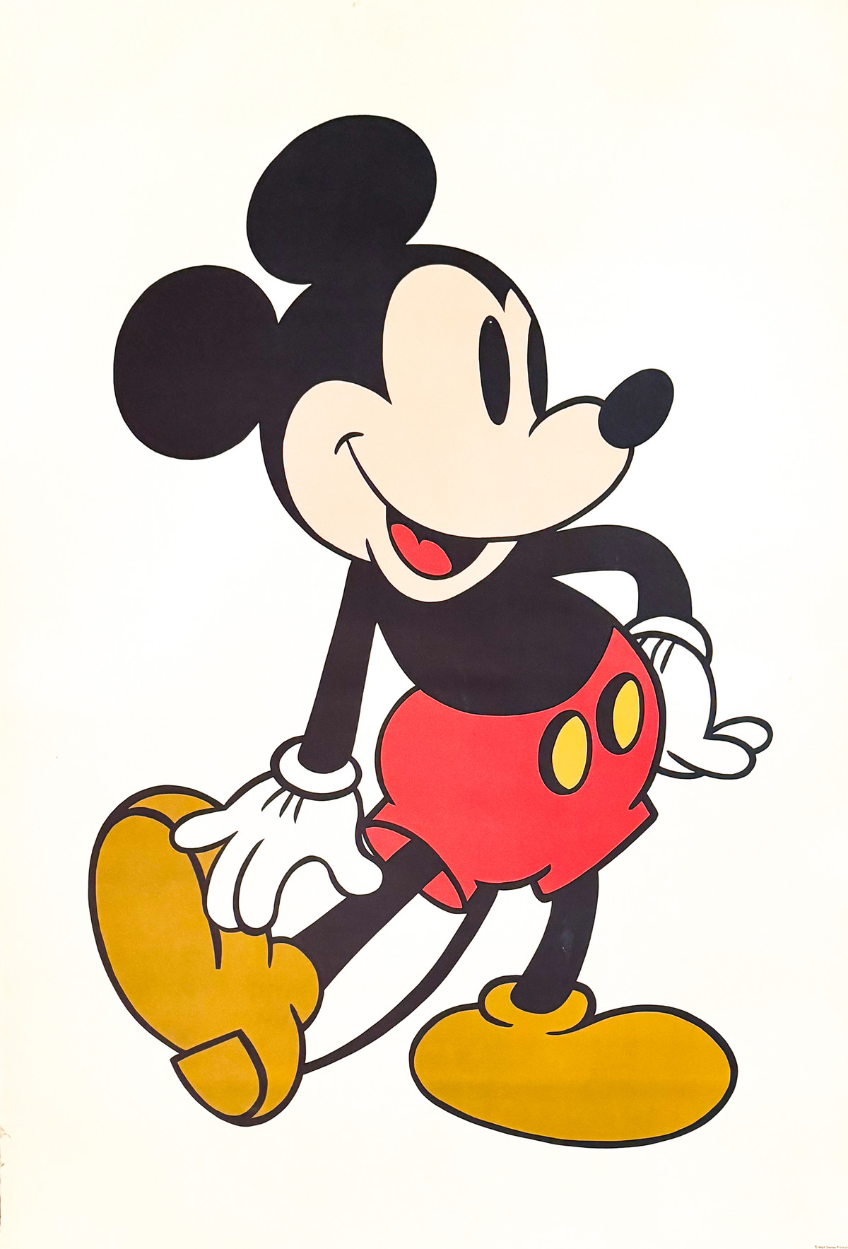 Mickey Mouse by Springbok