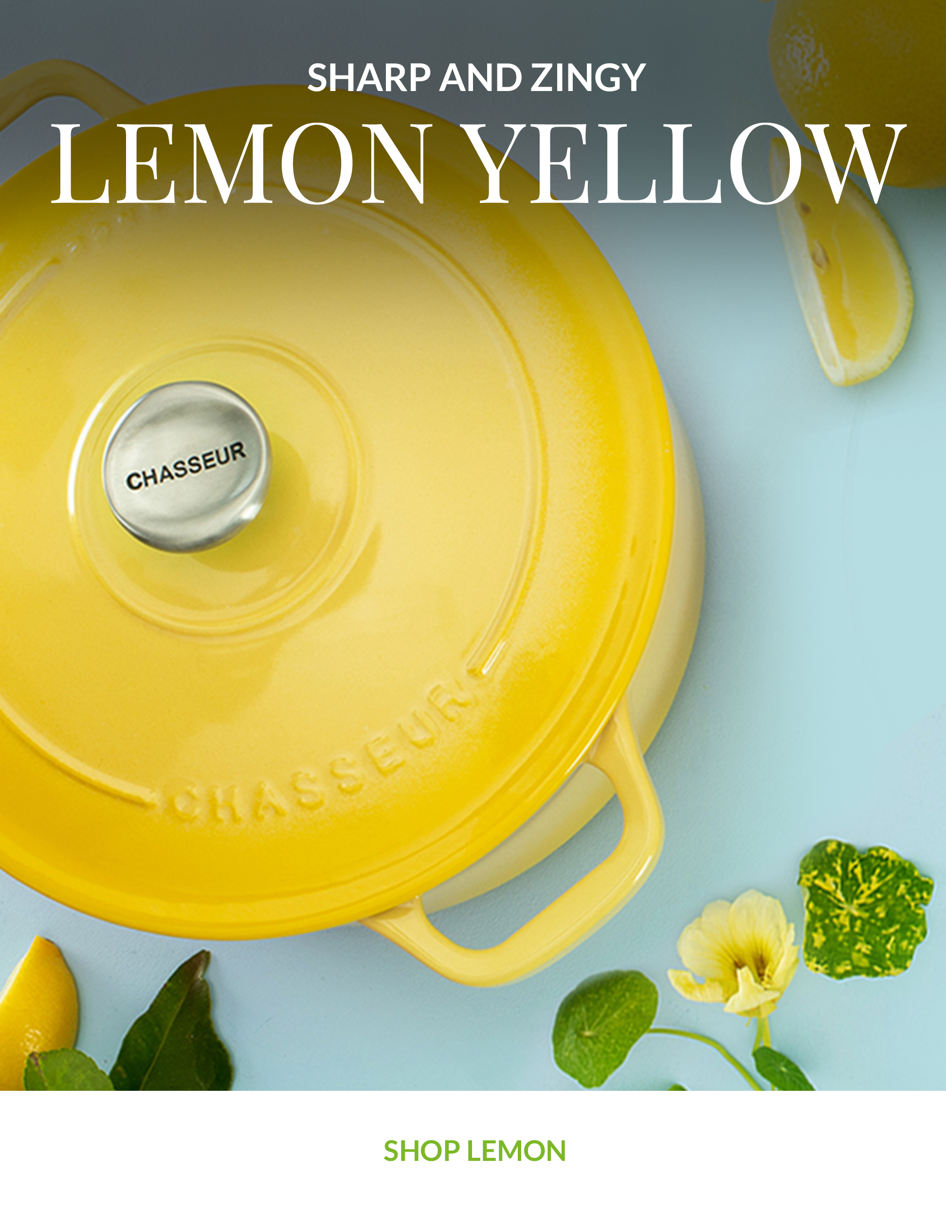 Chasseur | The Official Australian Website | French Cast Iron Cookware