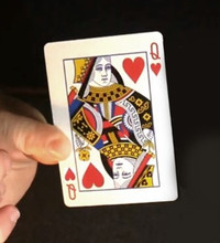 Bicycle Ultimate Lefty Deck - Repositioned Indicies for a Left Handed ...