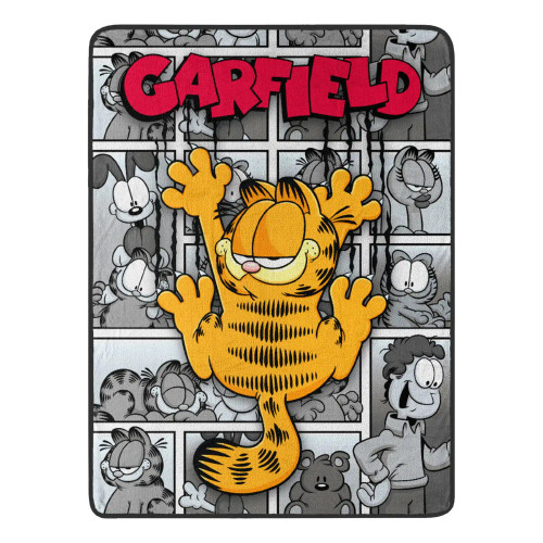 Nickelodeon Garfield Cat Scratch Smile Silk Touch Throw Blanket