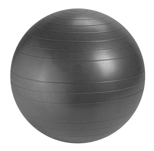 Shop the Throwdown Stability Balls - Treadmill Outlet