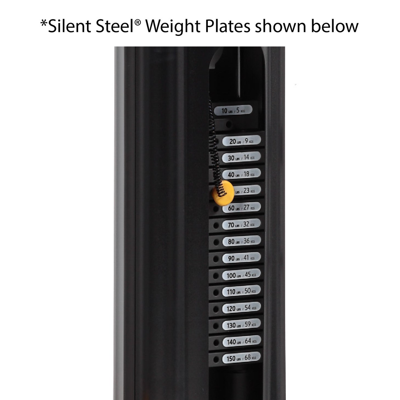 Hoist Fitness 5LB Add-On Weight (Made For Silent Steel Weight Plates)