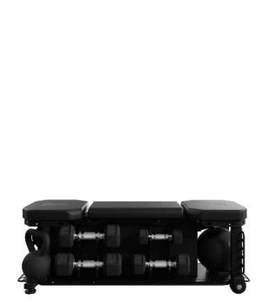 Shop the Throwdown FXD Bench - Treadmill Outlet