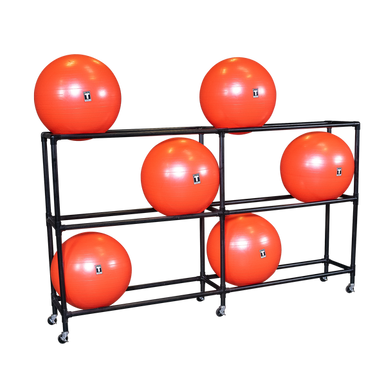 Shop the Body Solid Stability Balls Rack - Treadmill Outlet