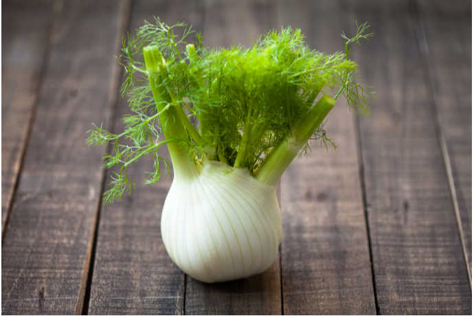 5 Ways to Prepare Fresh Fennel - Chefs Corner Store