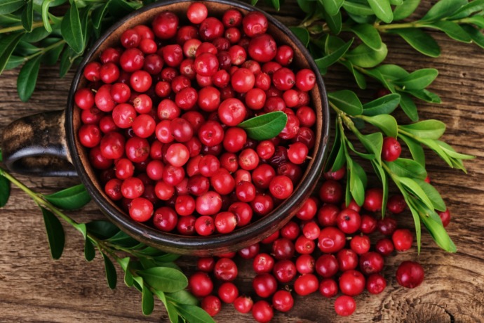 Fresh Cranberries for Thanksgiving and All Year Long - Chefs Corner Store