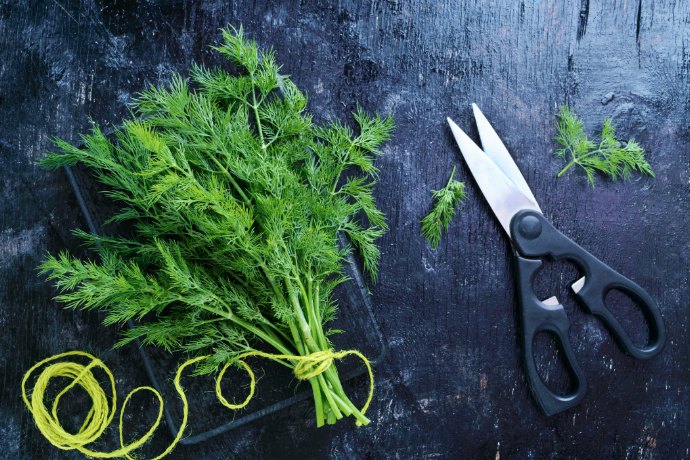 7 Smart Ways to Use Kitchen Shears - Chefs Corner Store