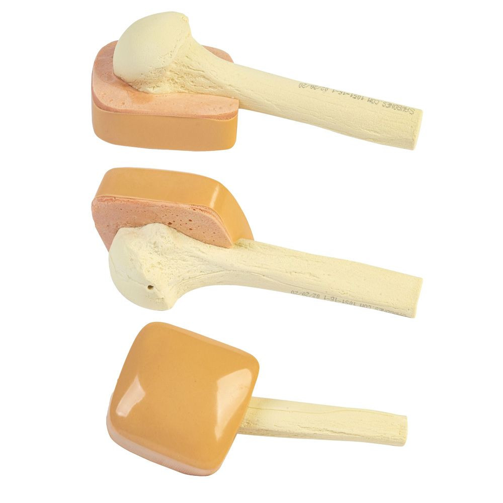 SAM Medical® - SAM® IO Proximal Humerus Training Kit