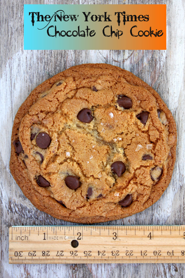 NEW YORK TIMES CHOCOLATE CHIP COOKIES (GF) - 1 Dozen