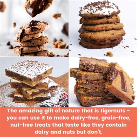 Fine TigerNut Flour - 5 lb - Non-GMO, Gluten Free