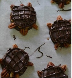 Vegan Turtle Chocolates