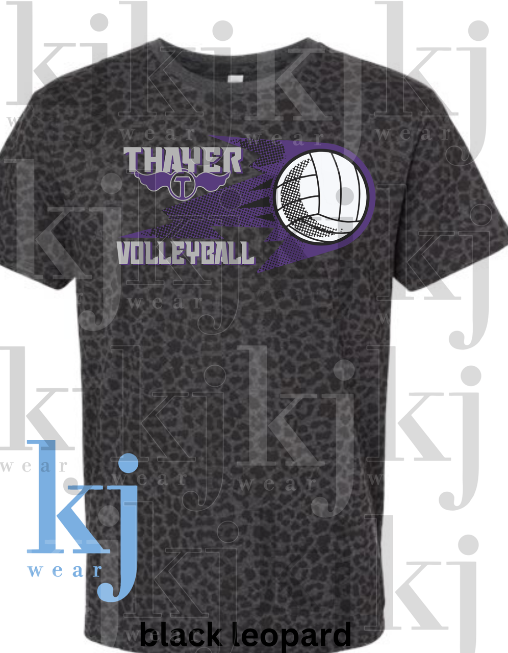 FLYERS VOLLEYBALL, THAYER KANSAS, THAYER FLYERS, THAYER VOLLEYBALL