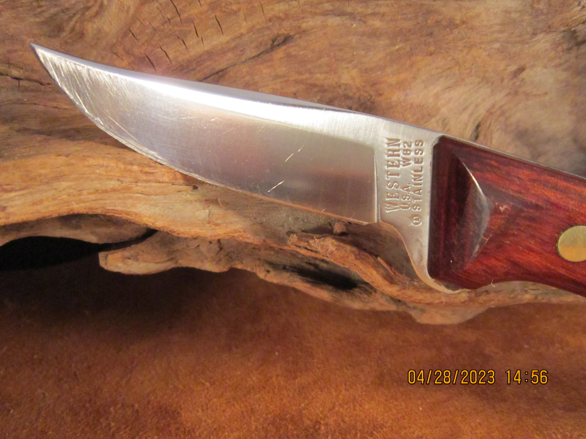 80's Western Knives W-82 Trailing Point Knife
