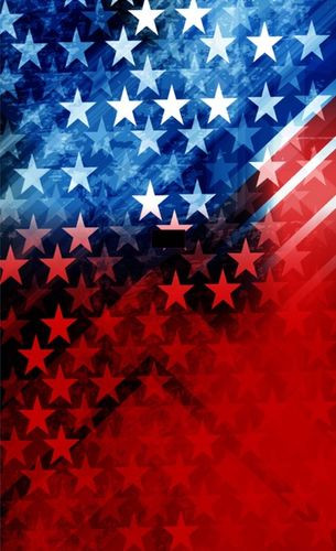 Canvas Dunk Tank American Flag