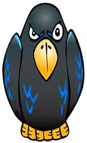 Conk the Crow Small Crow