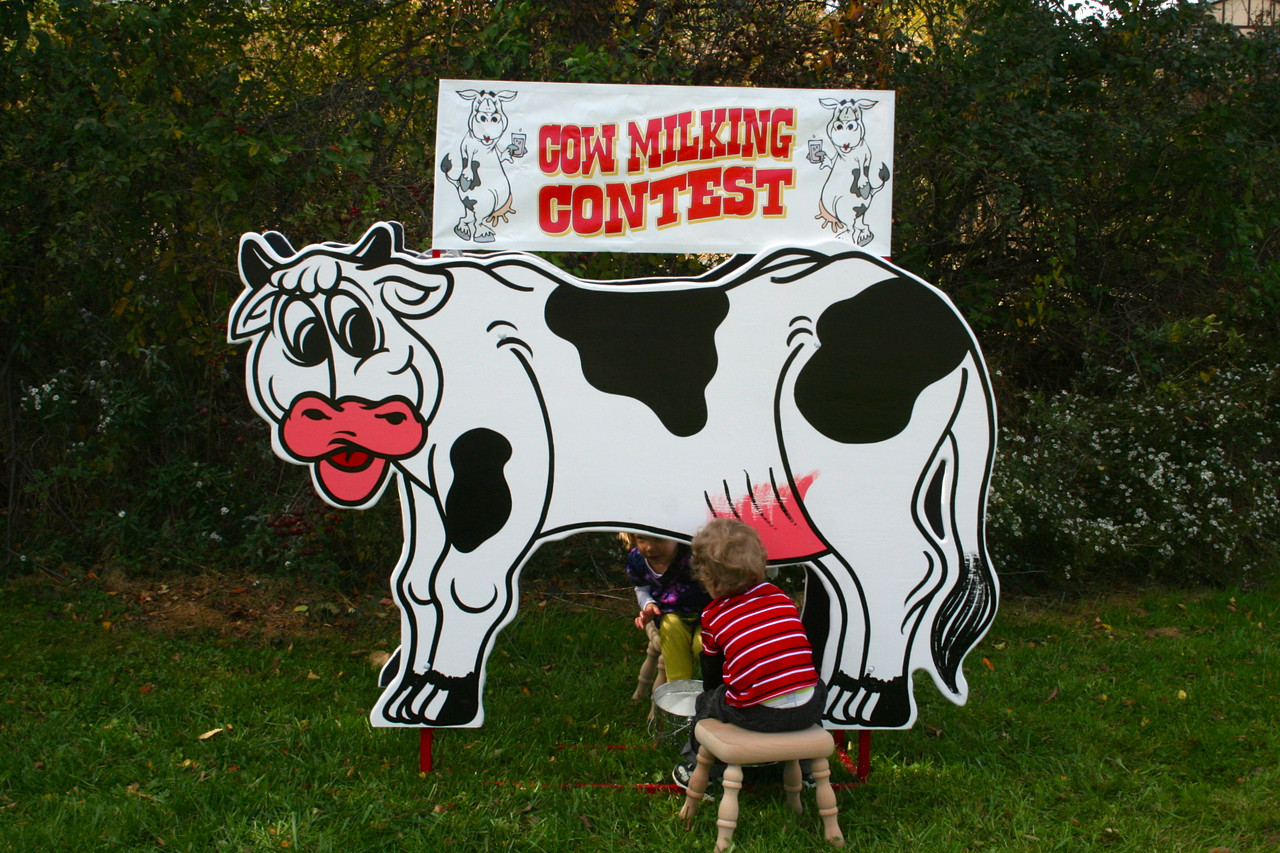Cow-Pie Fly
