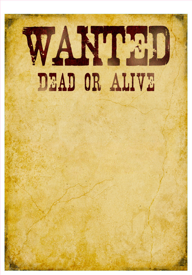 Selfie Booth Backdrop, Wanted