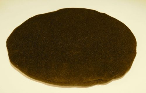 Cow-Pie Fly