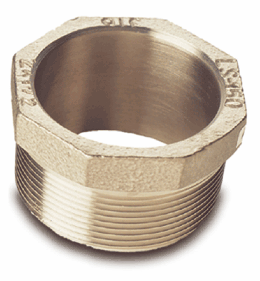 2 in NPS 316 Stainless Steel Bung Adapter - TTS, SC-TTS Series