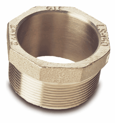 2 in NPS 316 SS Bung Adapter - PFP, PFS, PFV Series