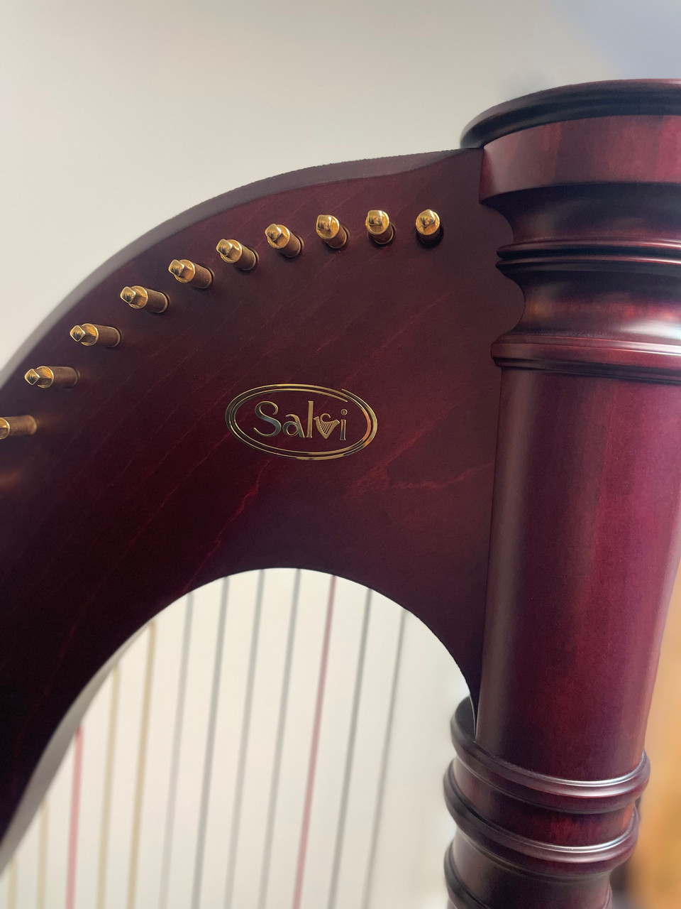 Pre Owned Salvi Custom Butterfly Board Deluxe Ana Lever Harp