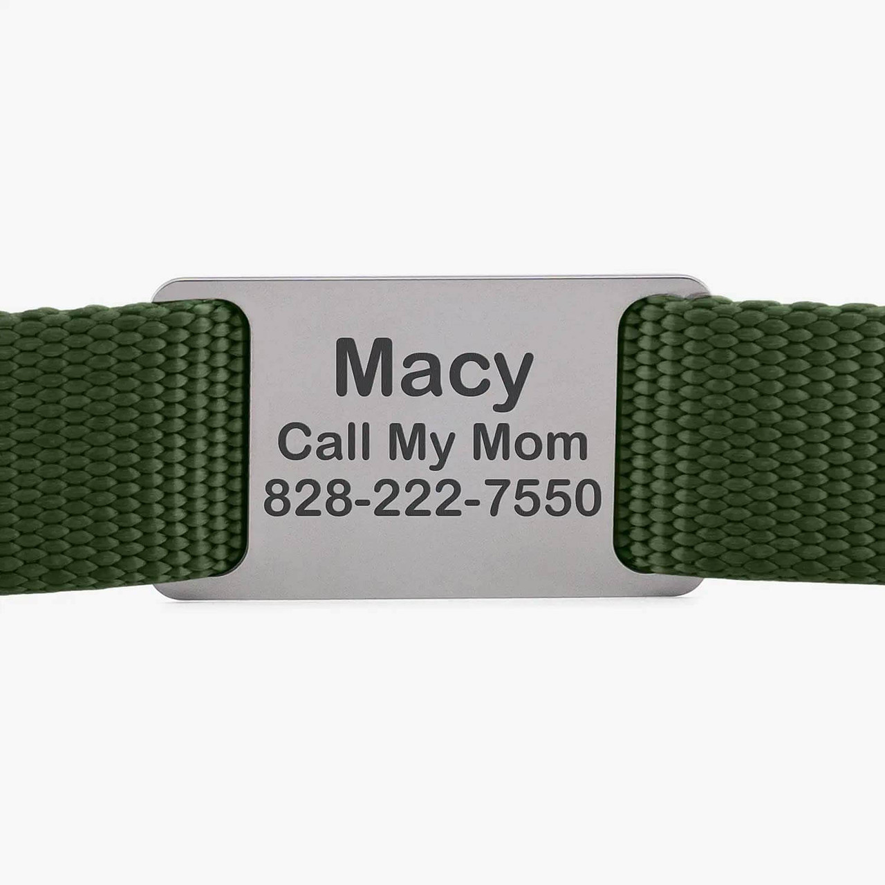 Webbing Dog Leash