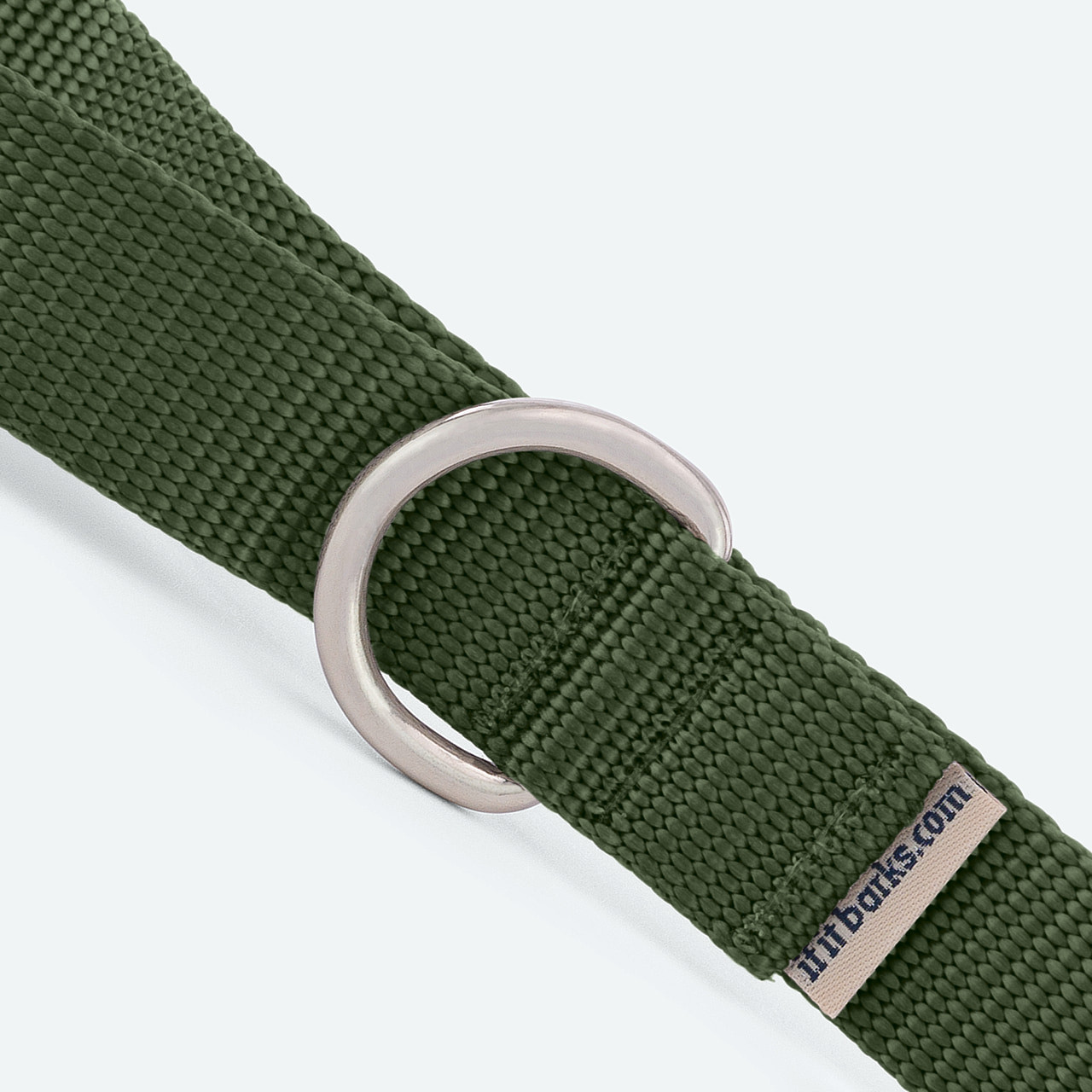 Webbing Dog Leash