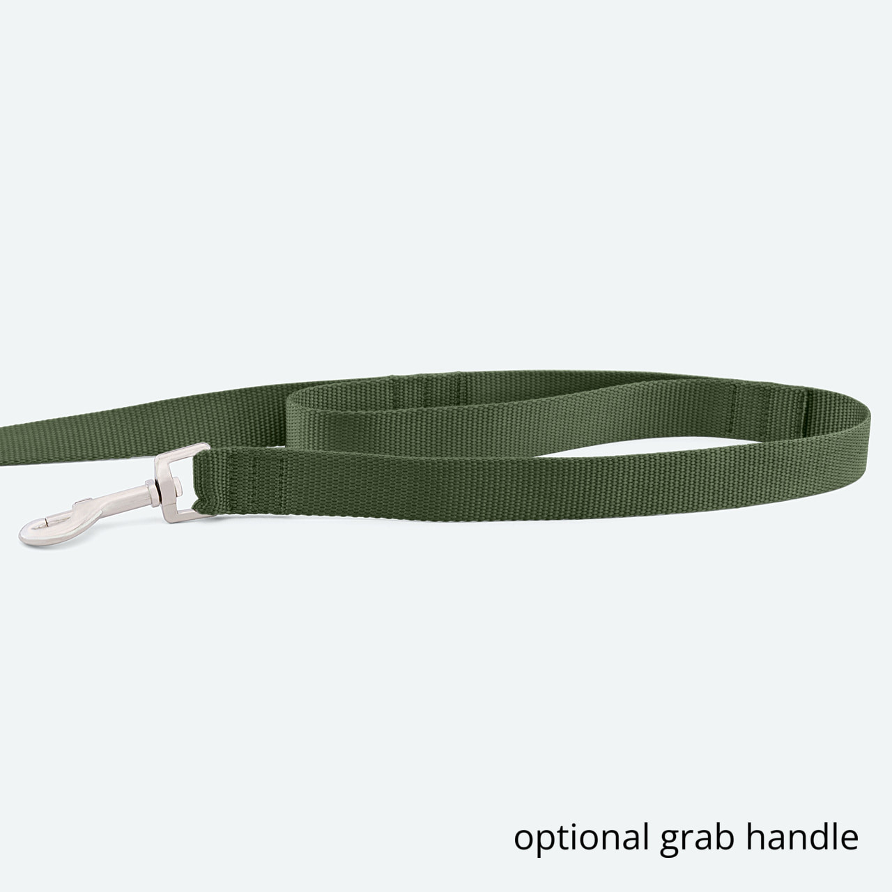 Webbing Dog Leash