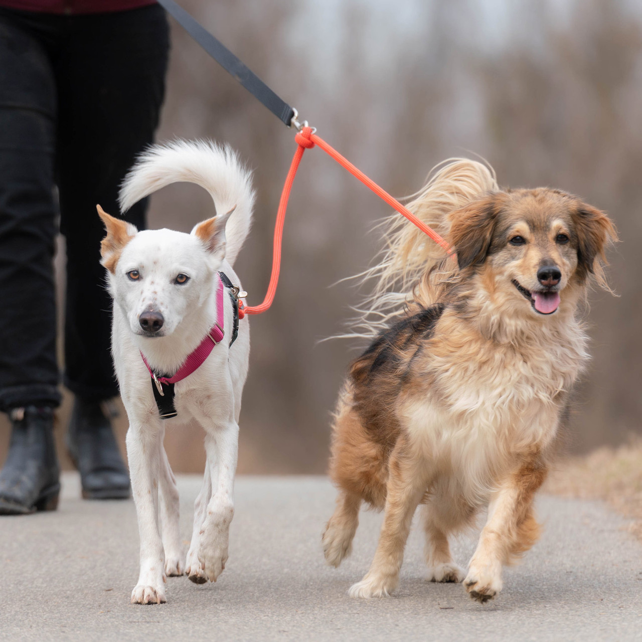 Rope Leash Coupler
