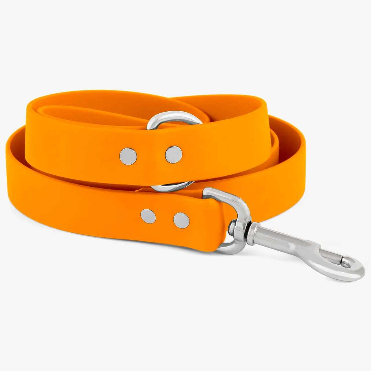 O-Ring Waterproof Dog Collar