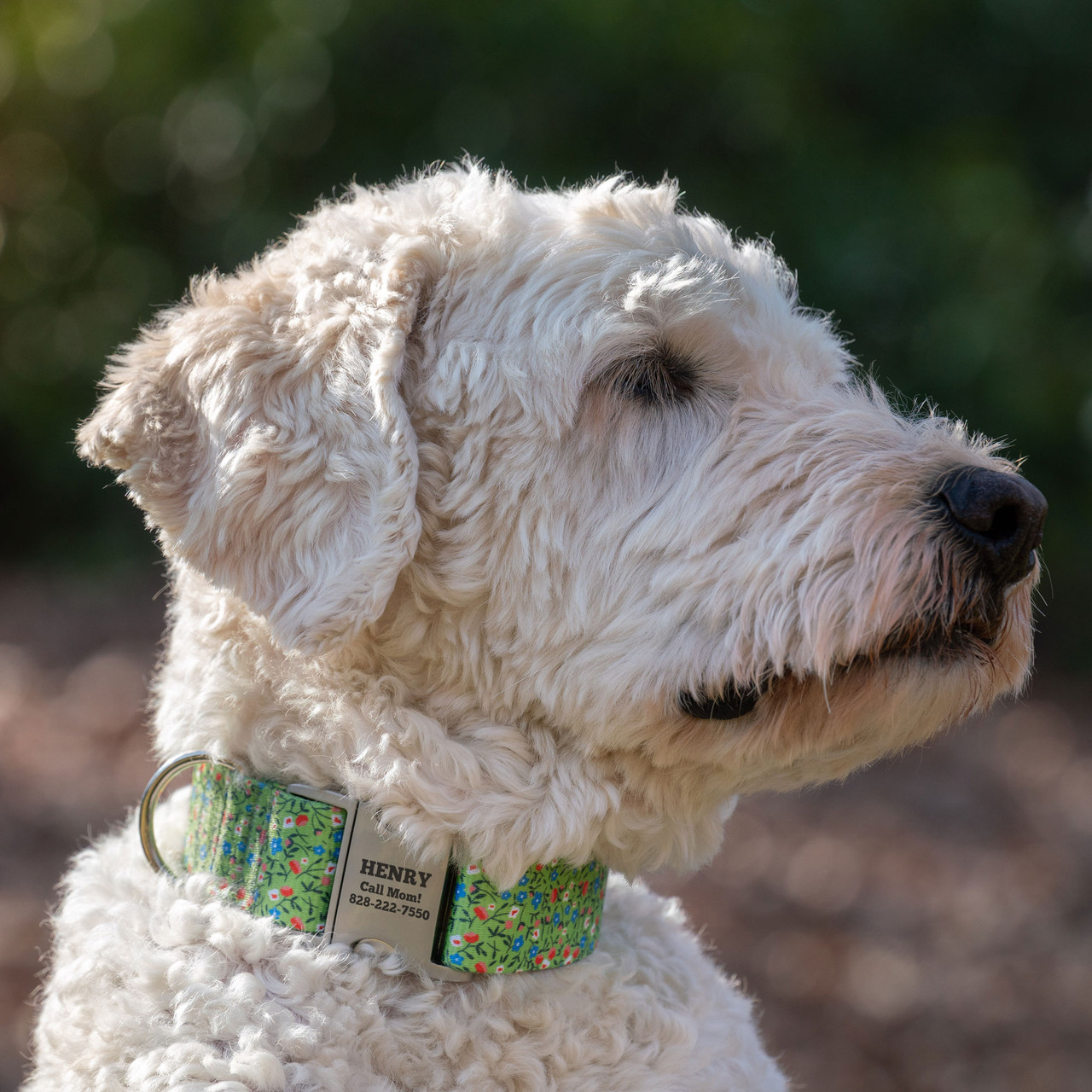 Heritage Floral Dog Collar