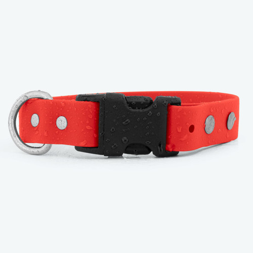 Waterproof Dog Collar with Quick Release Buckle