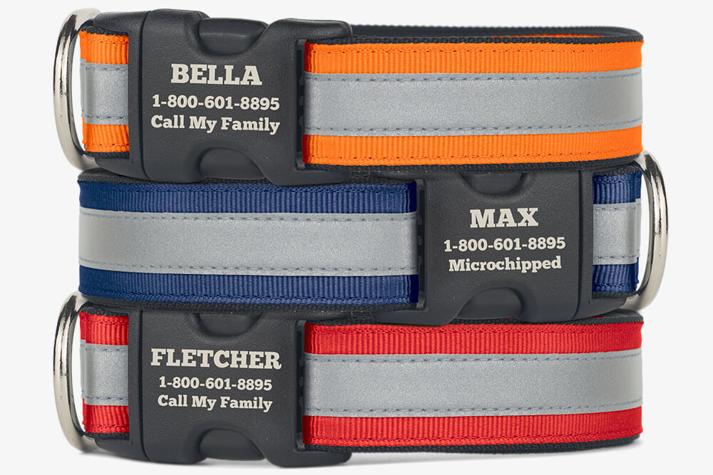 Custom Dog Collars | Handmade Dog Collars by If It Barks