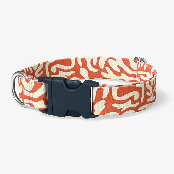 Abstract Coral Dog Collar