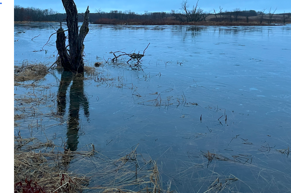Christmas fun on the ice? - BAITLOAD