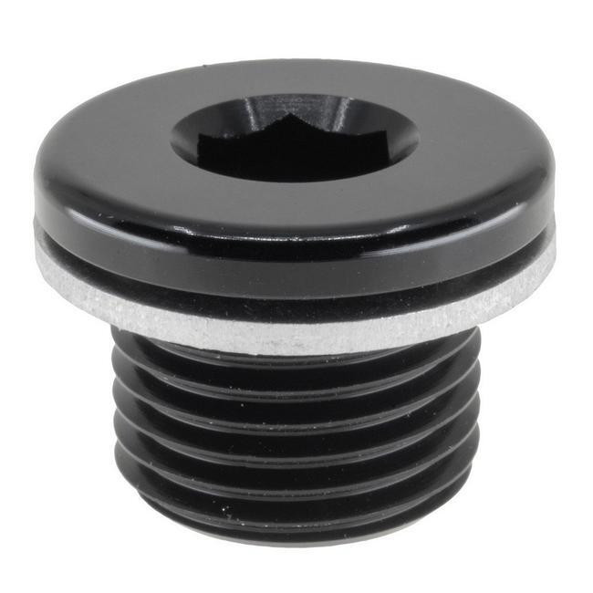 Raceworks Metric Hex Plugs With Washer