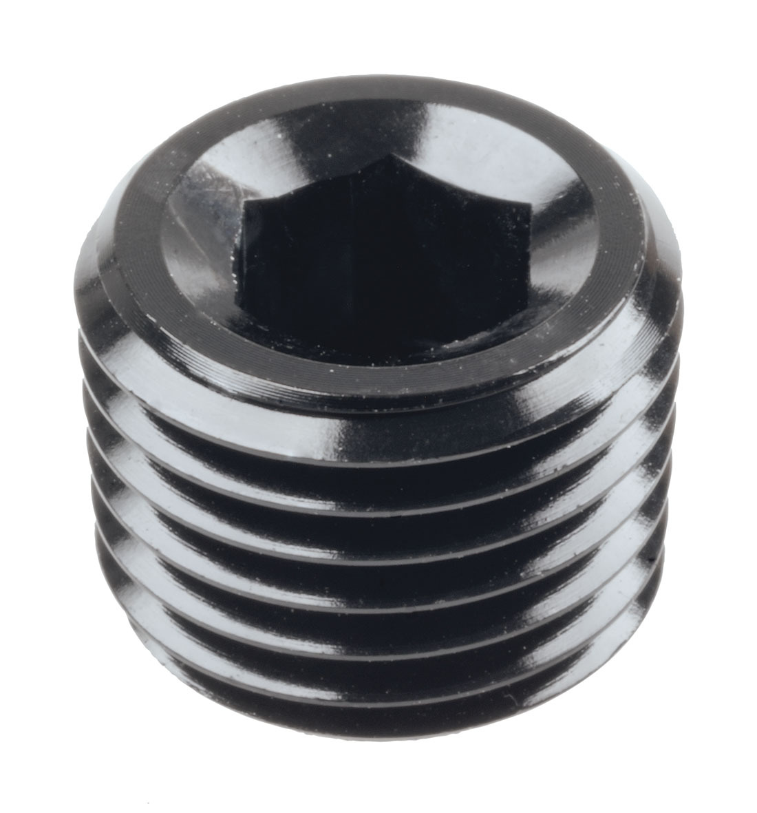Raceworks NPT Male Plug Fitting