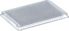 ProCycle 384 Well PCR Plates, Full Skirt Edge, A24 notch, 10 x Pack