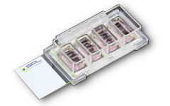 SPL SPLScar™ Block - Cell Culture Slide 4 well, Glass, 3 block well ...