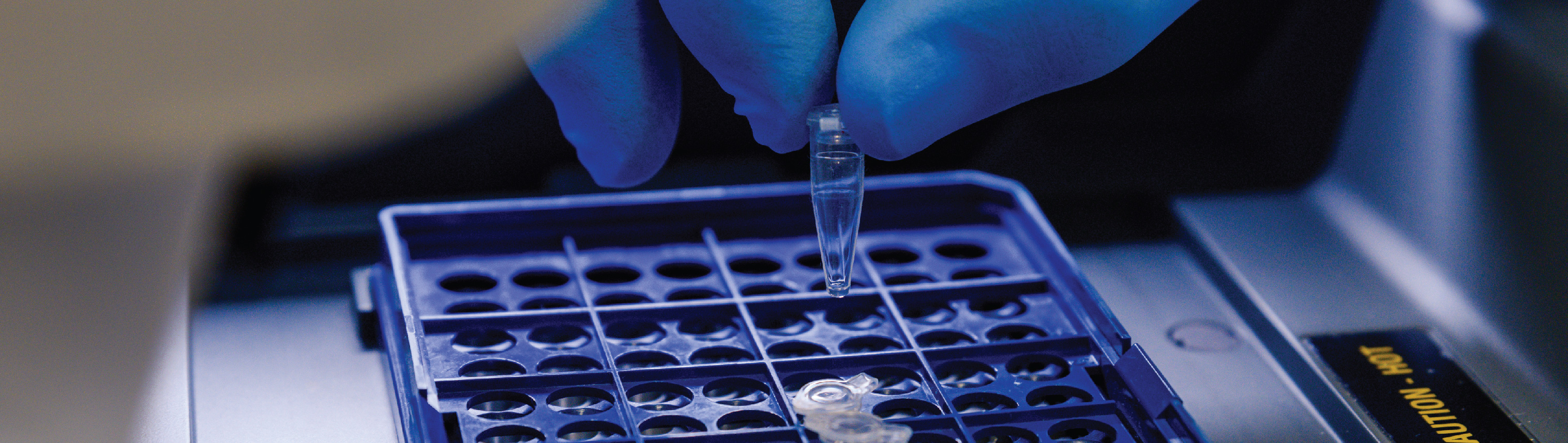 Advancing Forensic Genomics: How Non-Invasive Sample Collection is ...