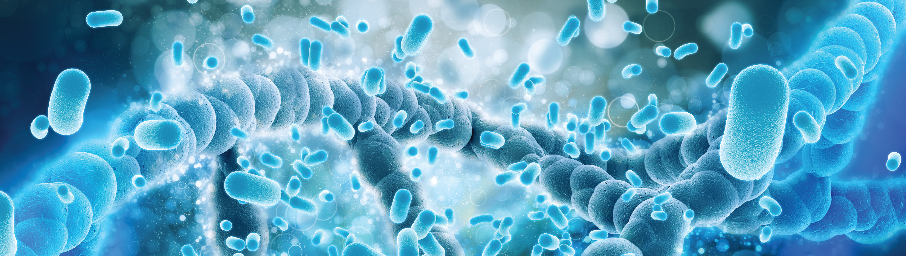 Novel Gut Enzyme Offers New Insights into β‑1,2‑Galactooligosaccharides ...