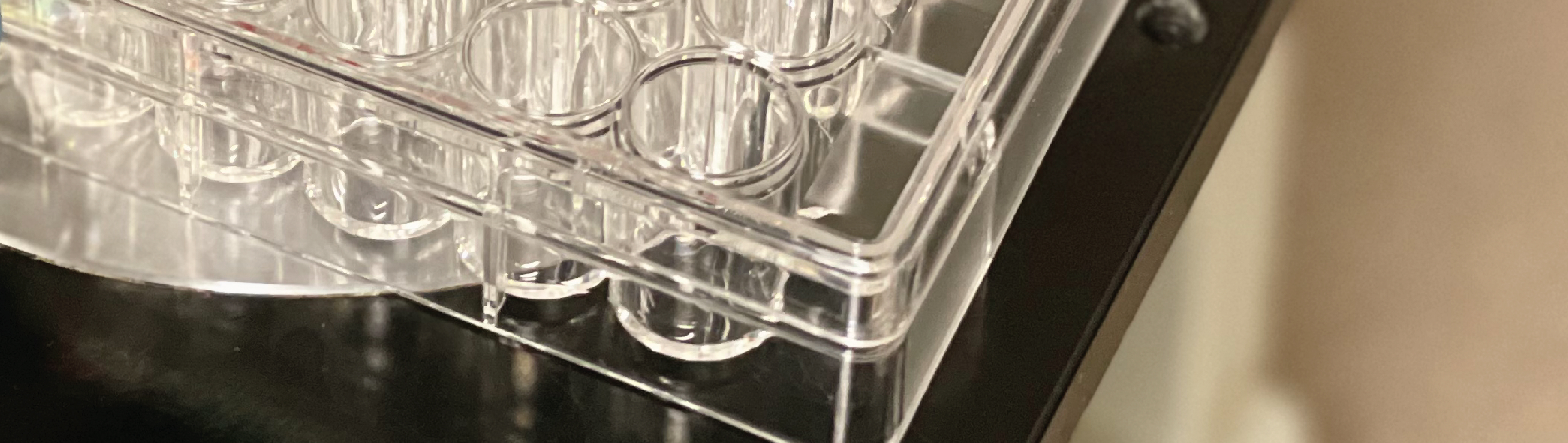 The Hidden Value of Microplates: Insights and Best Practices for ...