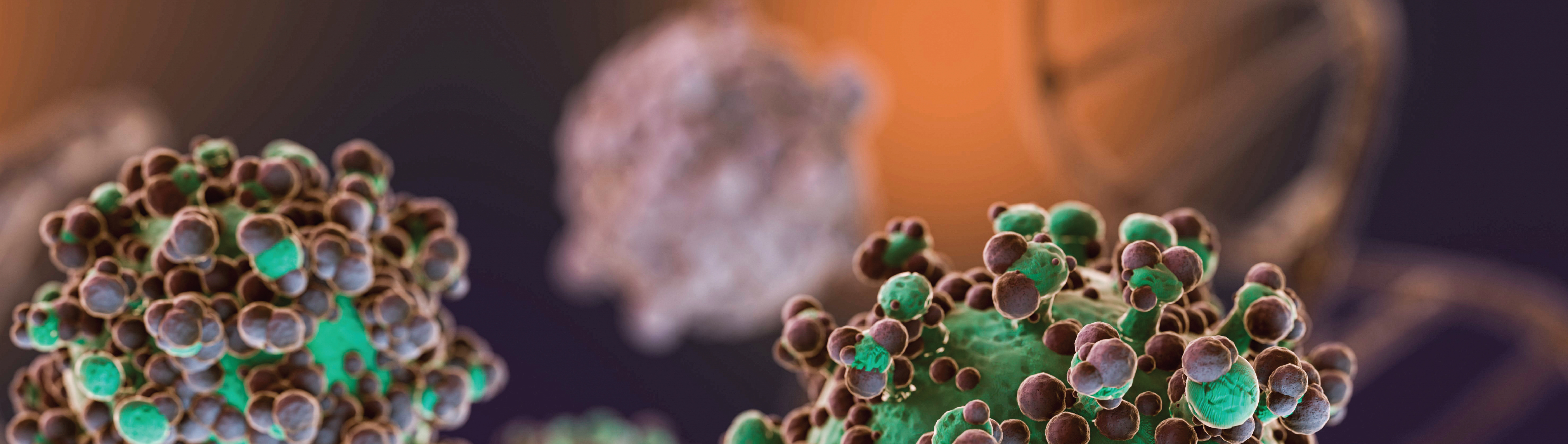 Proactive Approaches in Breast Cancer: Detecting and Eradicating ...