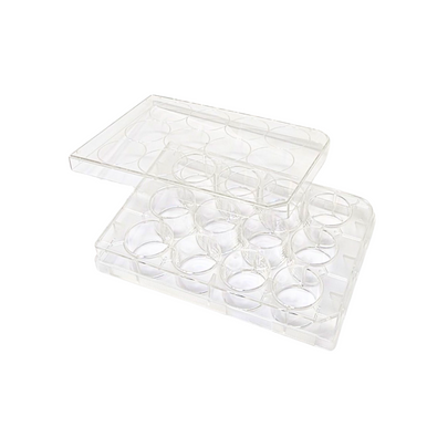 SPL Life Sciences SPL 12 wells Cell Culture Plate Flat Bottom, PS, TC ...