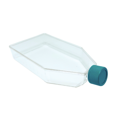 SPL Cell Culture Flask 175 cm2 (T175) Plug Cap, Treatment, Sterile, 40 ...